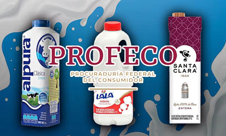 Las mejores marcas de leche con más vitamina D para fortalecer huesos y ...