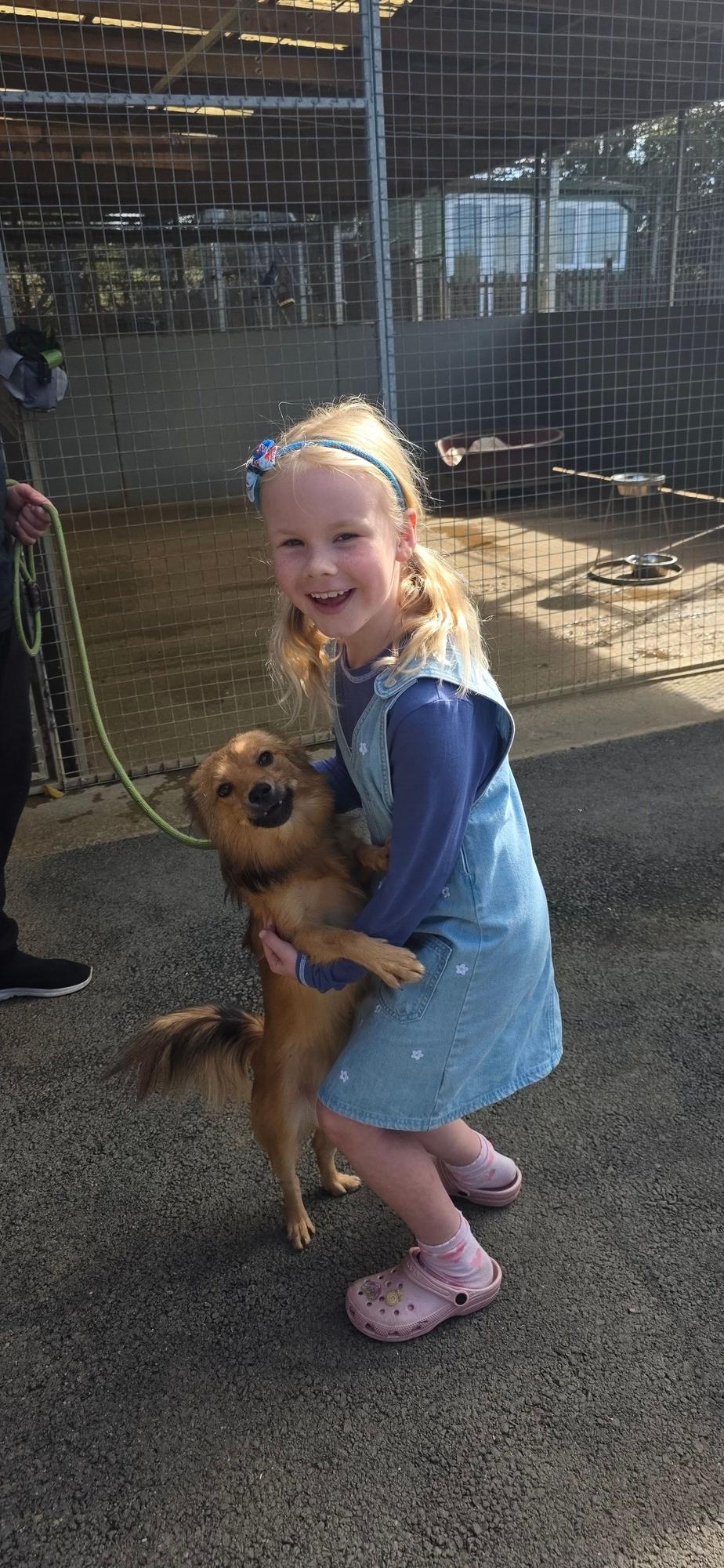 Seven-year-old Ava Sadlee raises money for Animals in Need