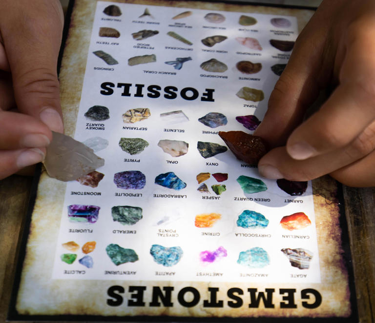 Louisiana's state gemstone isn't really a precious stone. Here's what ...