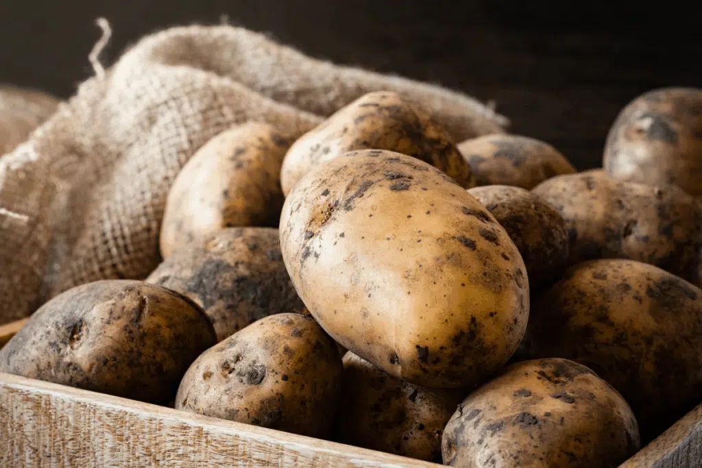 7 foods you should never put in the fridge (but probably do)