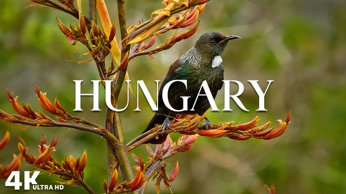 Shaped by Nature – The Geography of Hungary in 4K