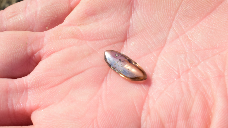 Oklahoma family finds nearly three-carat brown diamond at Arkansas ...
