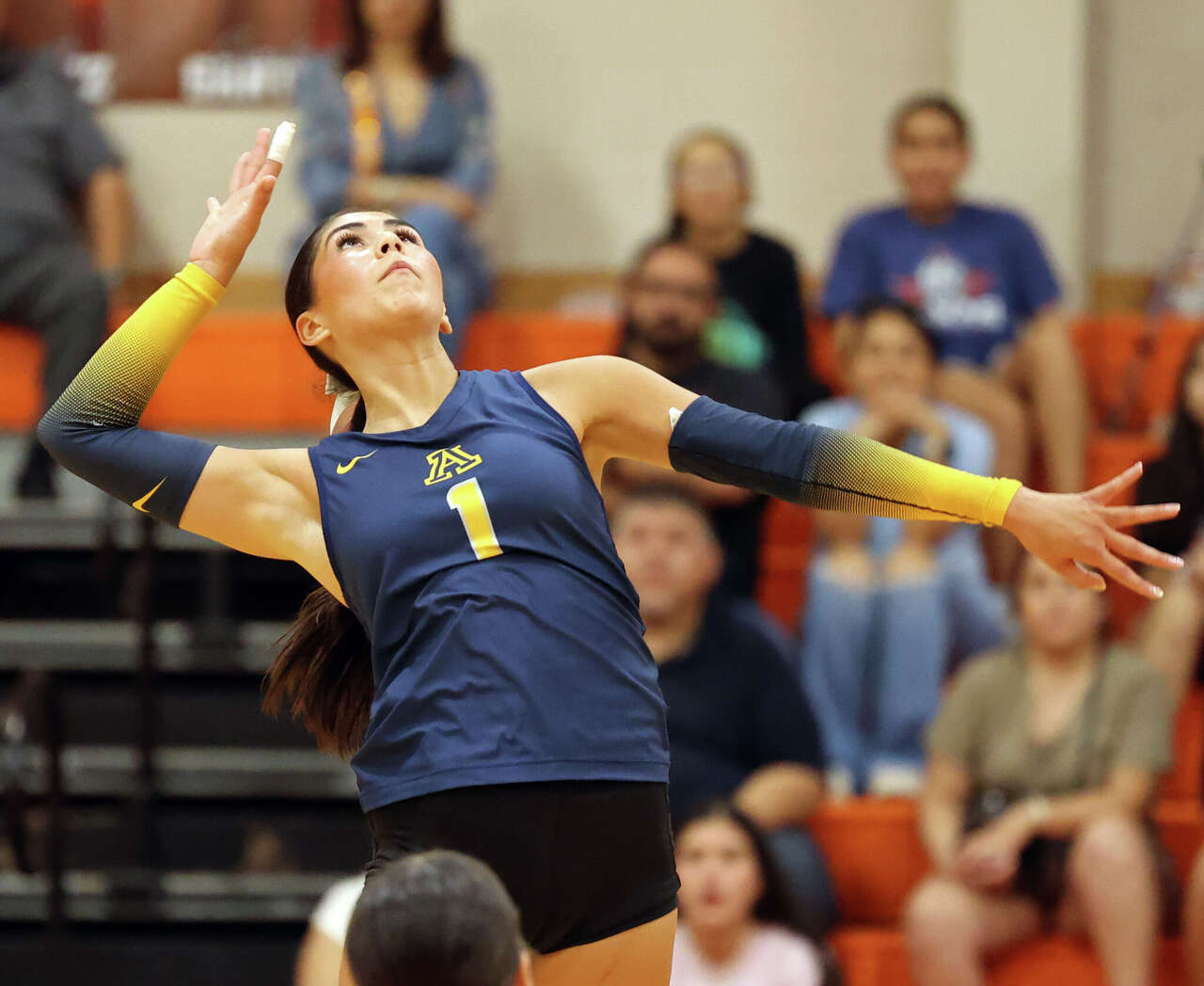 Laredo Morning Times volleyball standouts
