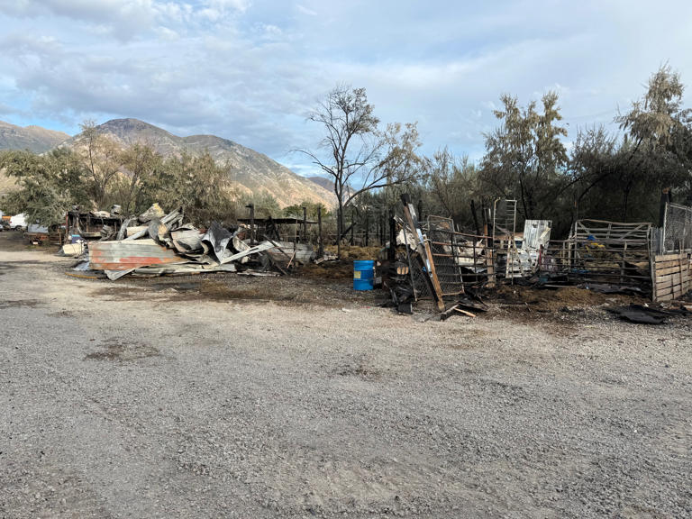 Provo animal corral catches fire, killing 40 sheep and goats, 4 horses