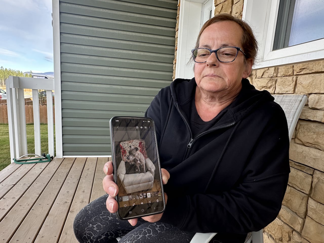 Whitehorse tenants say they're struggling to find rentals that allow dogs