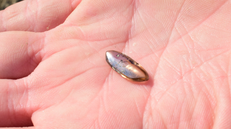 Oklahoma family finds nearly three-carat brown diamond at Arkansas ...