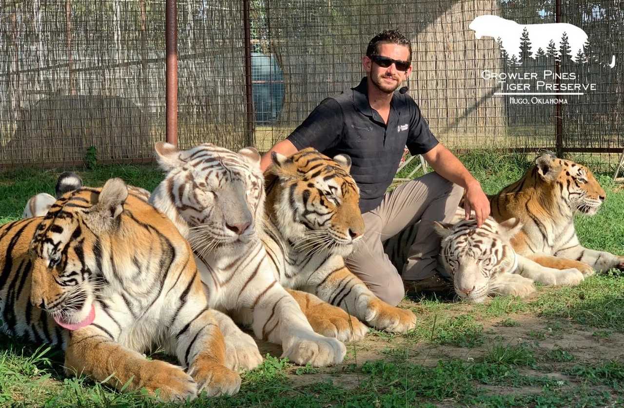 Big Cat Handler Linked To 'Tiger King' Star Joe Exotic Mauled To Death