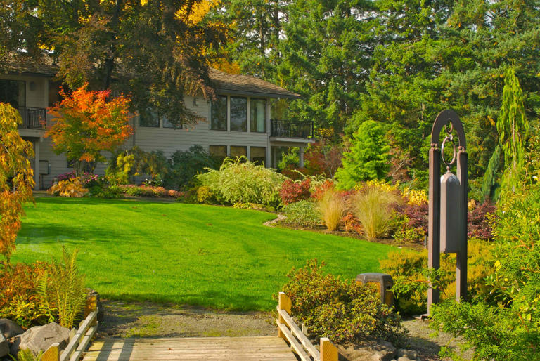 8 Common Fall Lawn Care Mistakes to Avoid for Healthier Grass in the Spring