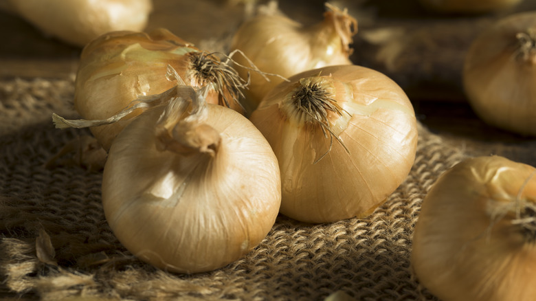The Absolute Best Substitutes For Shallots