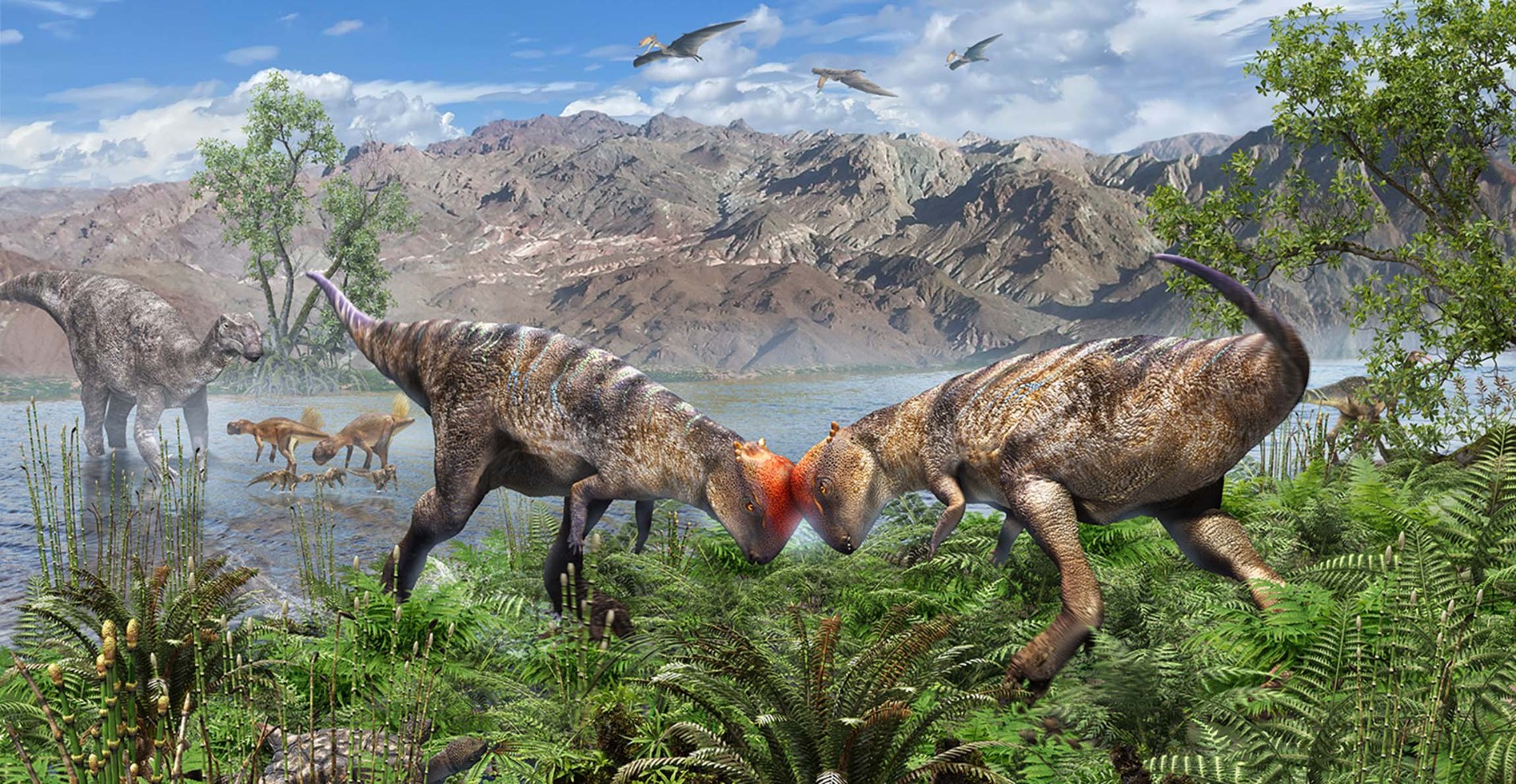 Paleontologists Discover Earliest Known Dome-Headed Dinosaur in ...