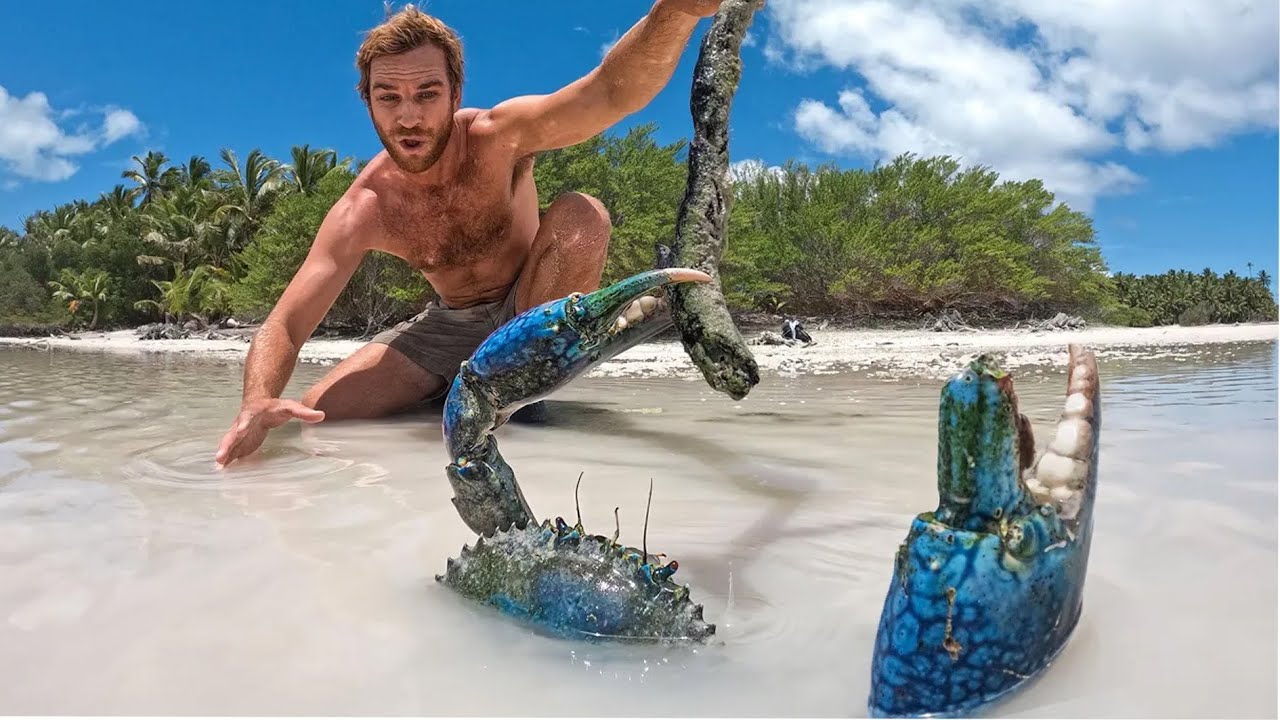 Giant Mud Crab Hunt on Remote Islands