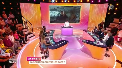 TBT9 : Polska pas en forme sur le plateau après la diffusion d'images ...