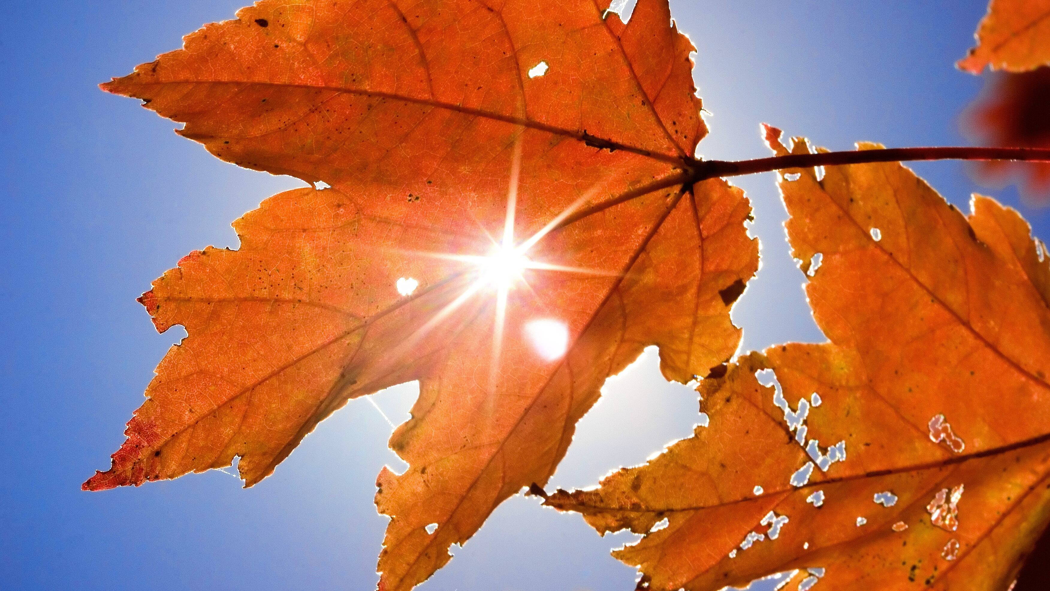 First day of fall arrives