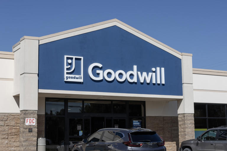 Thrifter left "truly shocked" by what they find for $5 in local Goodwill