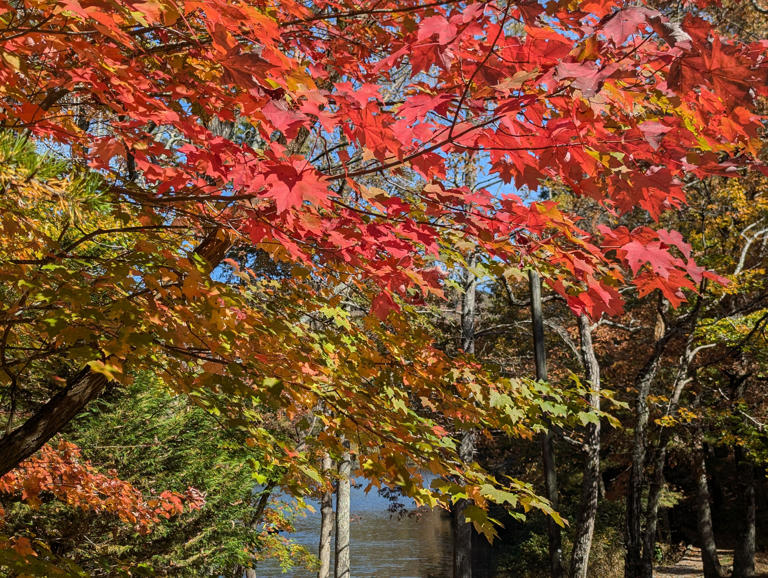 Fall begins, expect shorter days across Atlanta