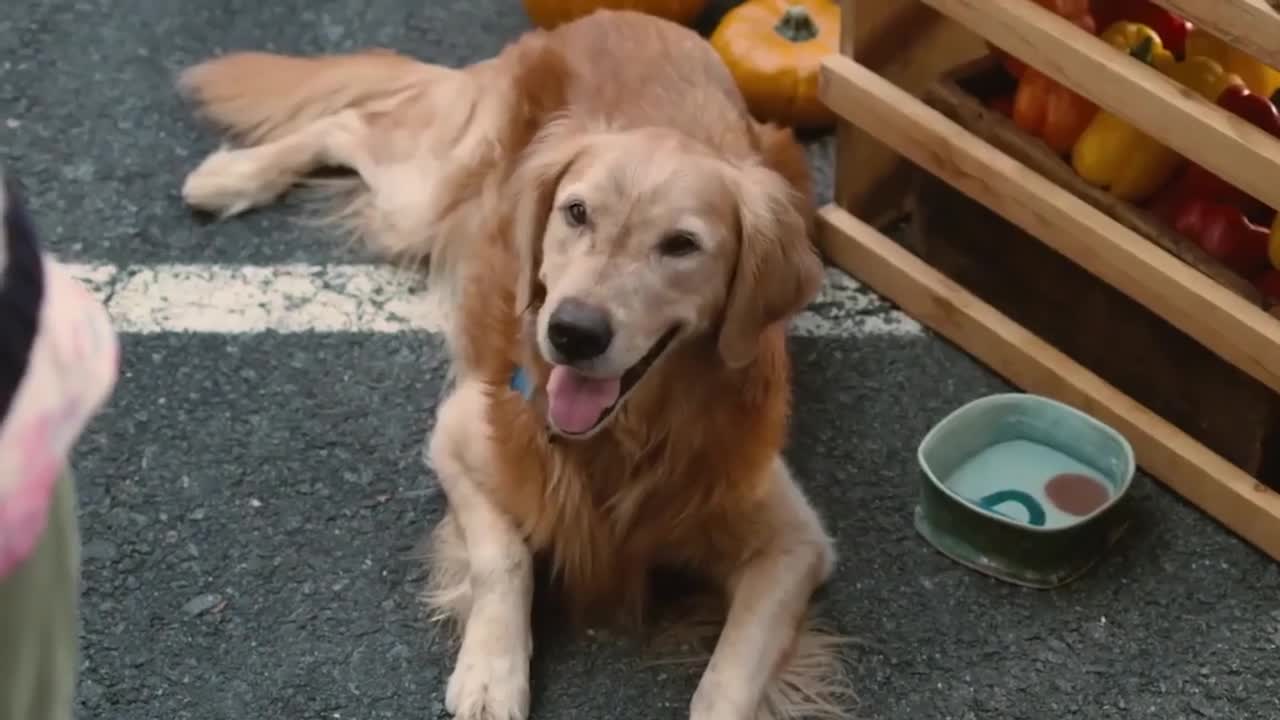 What Happens To Your Body When You Donate It To Science