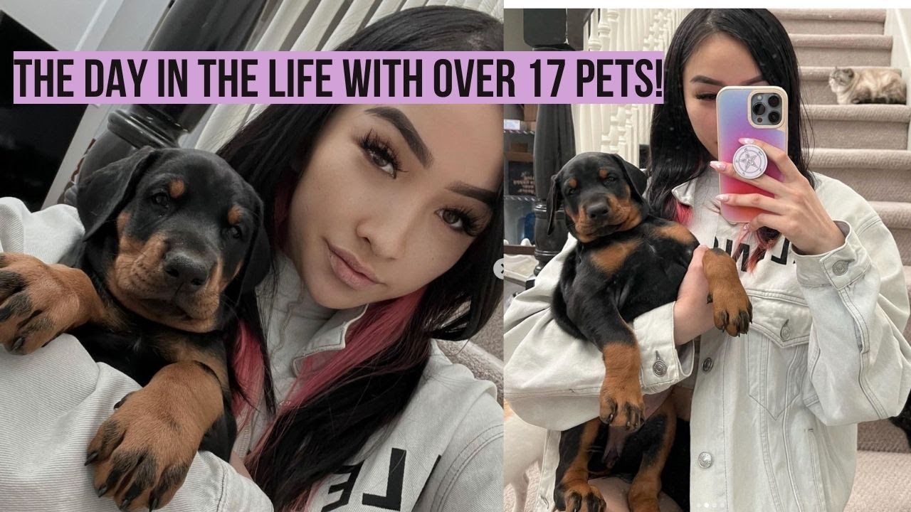 Busy day in the life caring for 17+ pets