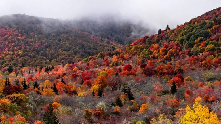 What To Know About The Blue Ridge Parkway's Gorgeous Fall Foliage ...