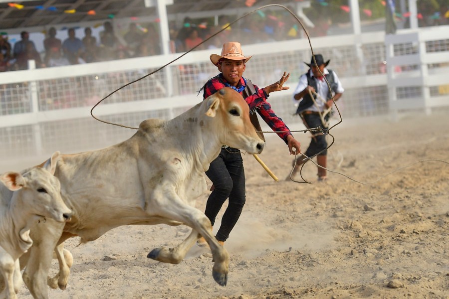 Southeastern Rodeo in Port Allen: What to know before going