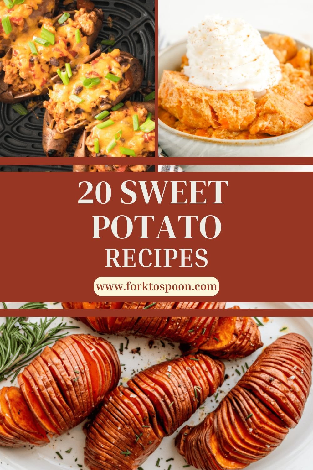 20 sweet potato recipes