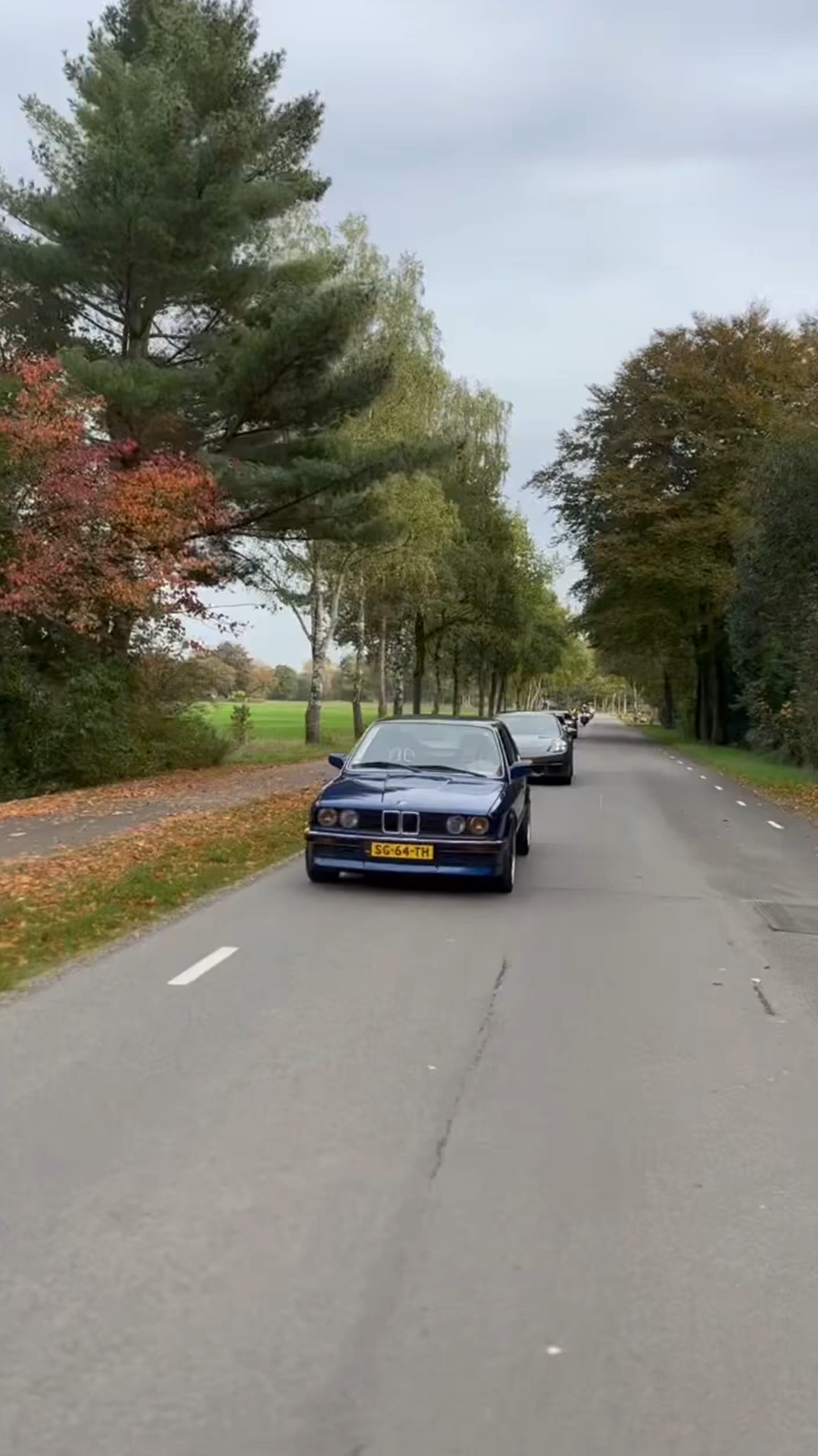 Cruising in a BMW