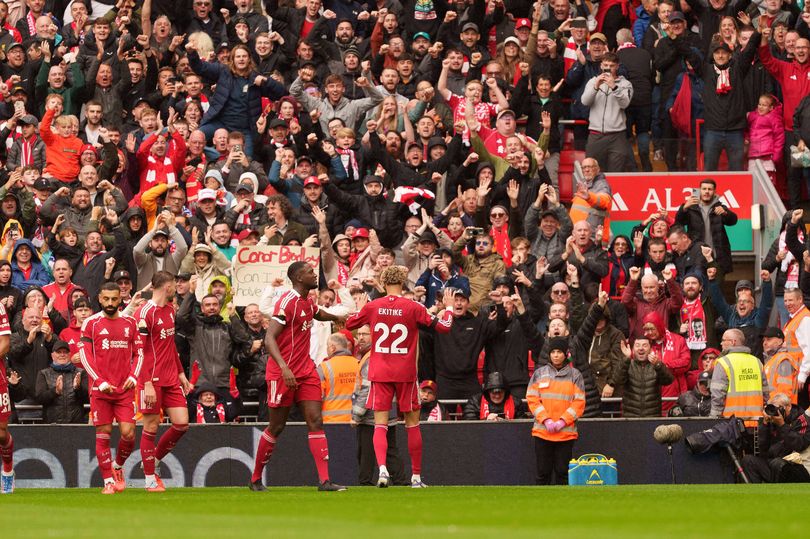 Soccer fan goes wild at Liverpool match before people realise it's ...