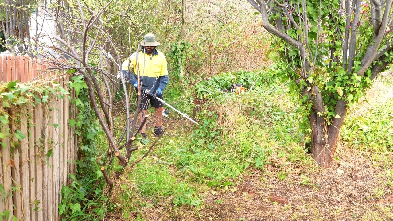 I wasn’t ready for this backyard challenge!
