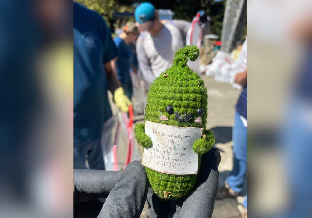 California Coastal Cleanup Day: Nearly 20,000 volunteers collect ...