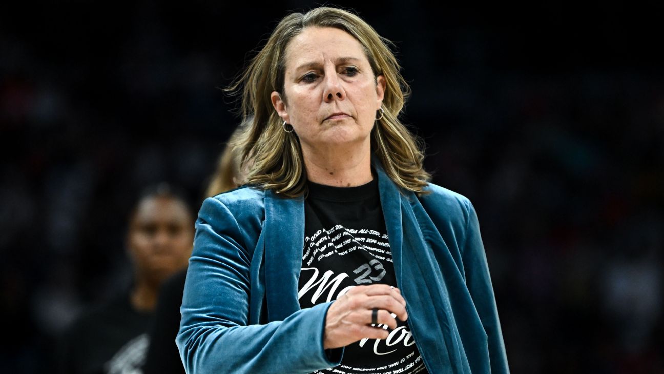 Minnesota Lynx's Cheryl Reeve invests in Minnesota Aurora FC