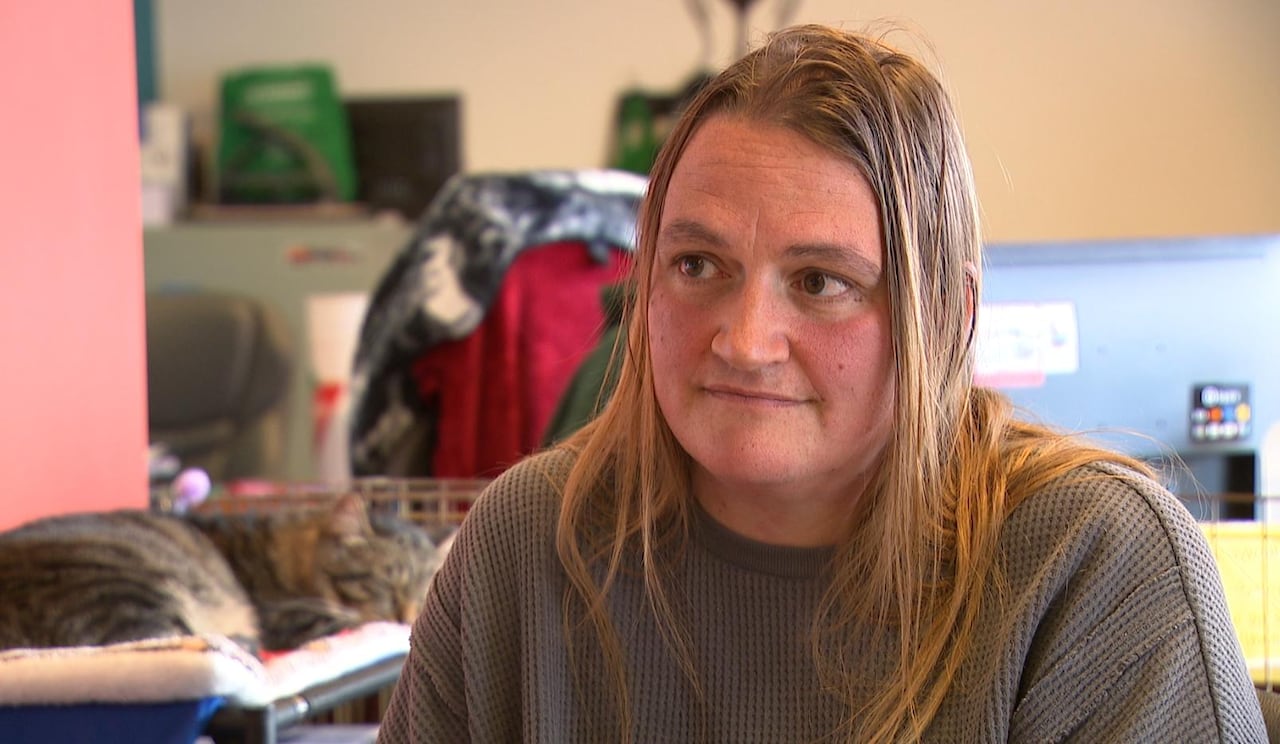Whitehorse tenants say they're struggling to find rentals that allow dogs