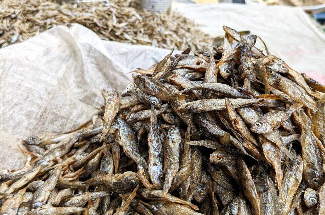 Dried fish—the hidden superfood vital for millions of women and ...