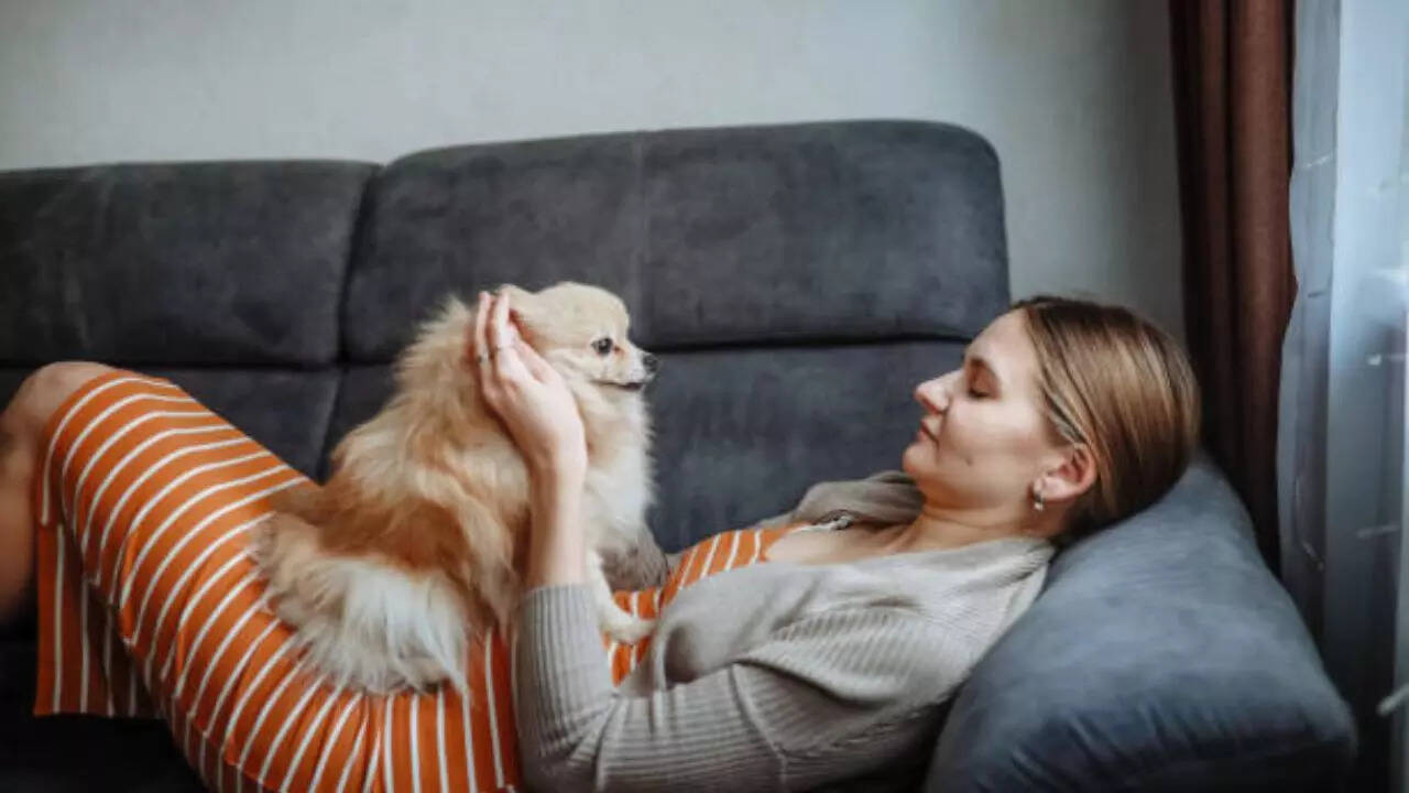 10 smallest dog breeds that can fit in your lap