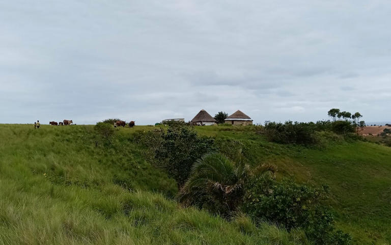 Traditional food systems nourish communities and protect the ...