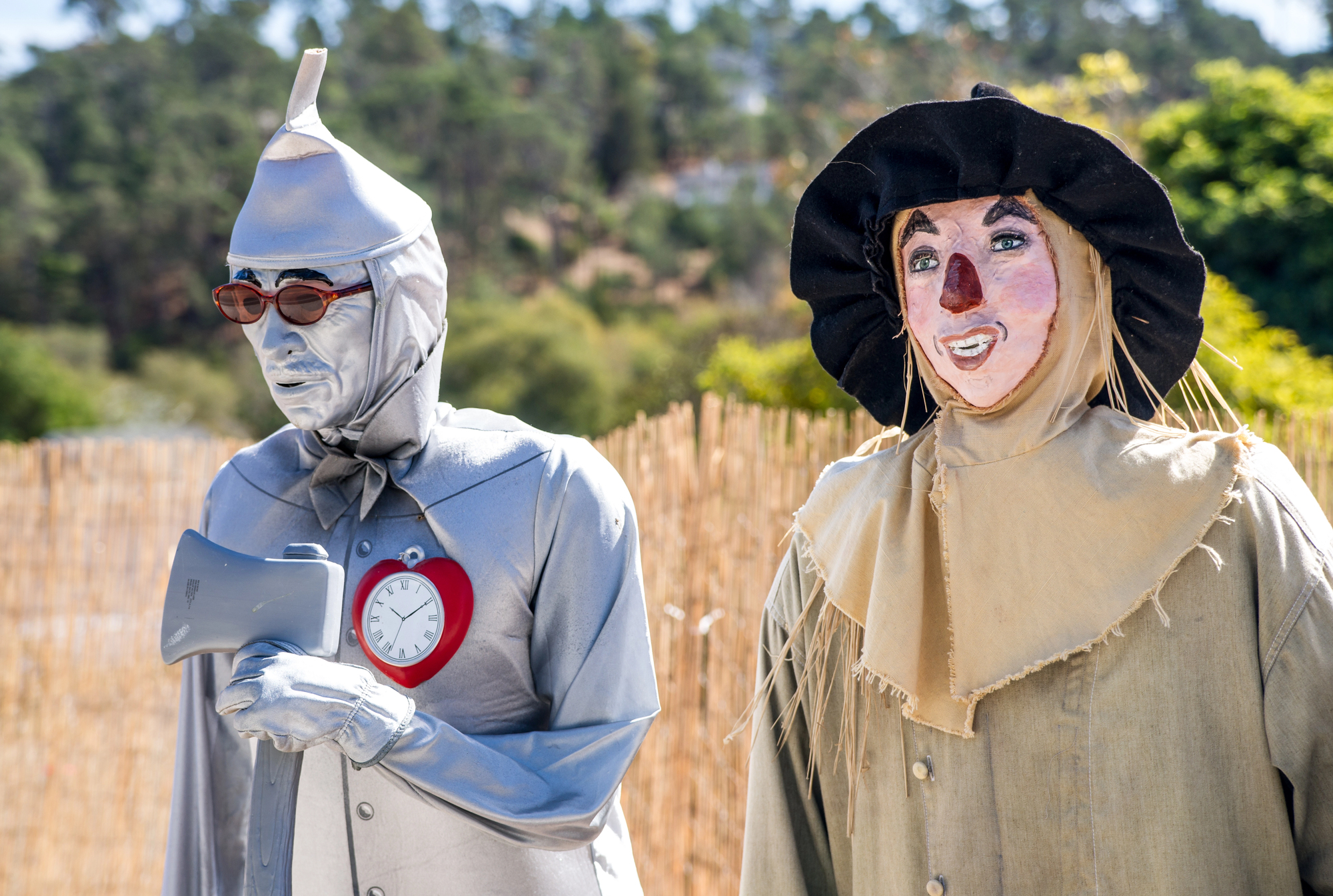Fascinating facts about The Wizard of Oz