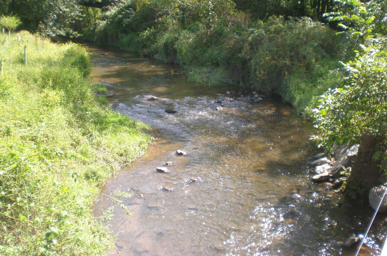 Heat waves in US rivers increasing up to four times faster than air ...