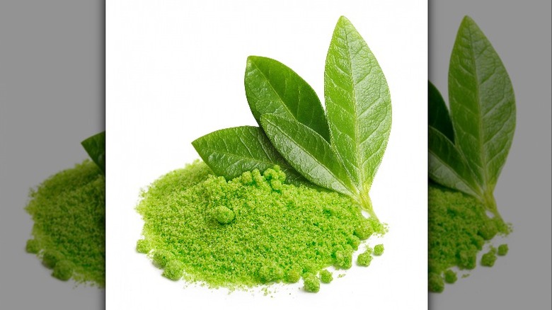 The Ancient Buddhist Roots Of Matcha