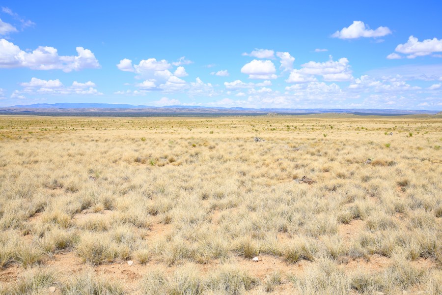 Study: Reduction made in methane release due to gas mining in New Mexico