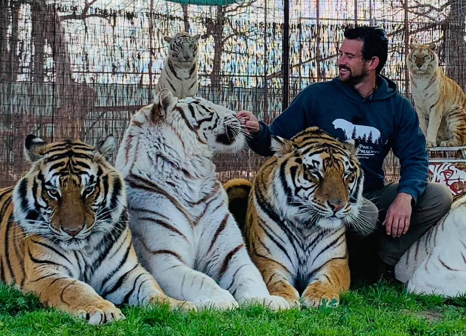 Tiger kills trainer affiliated with ‘Tiger King’ Joe Exotic at Oklahoma ...