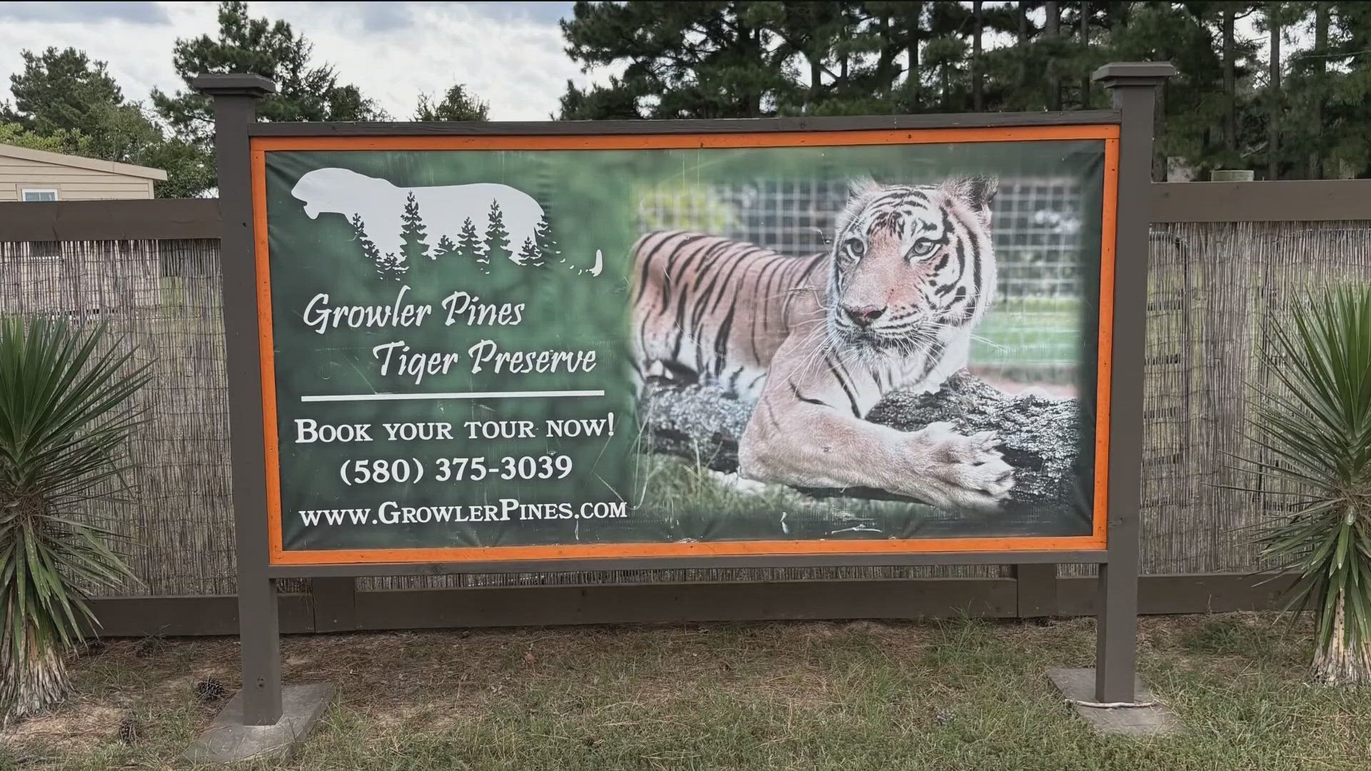 Tiger fatally attacks handler during big cat show in Oklahoma