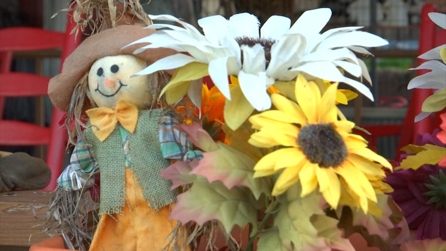 ‘Fall’ into festivals around East Tennessee September-November 2025