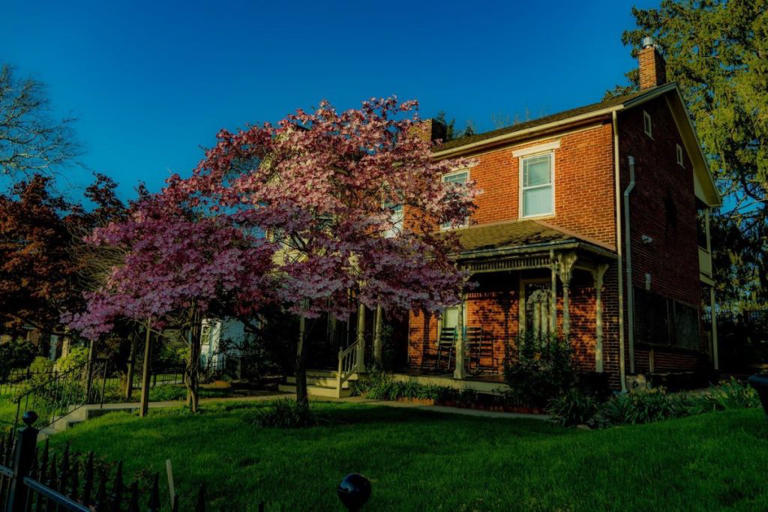 The 7 spookiest US hotels where you can spend a night 👻