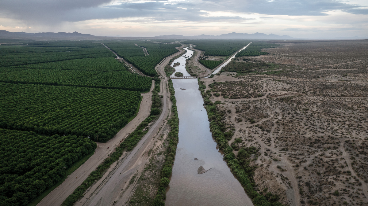 A changing climate poses threats to NM's pecan crop