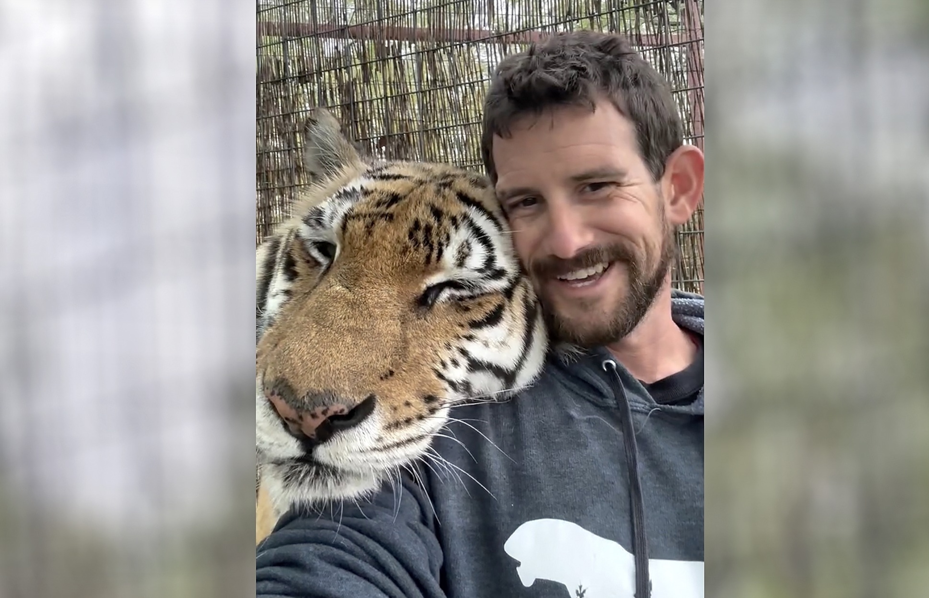 Handler mauled to death by tiger while performing for a crowd: Sheriff