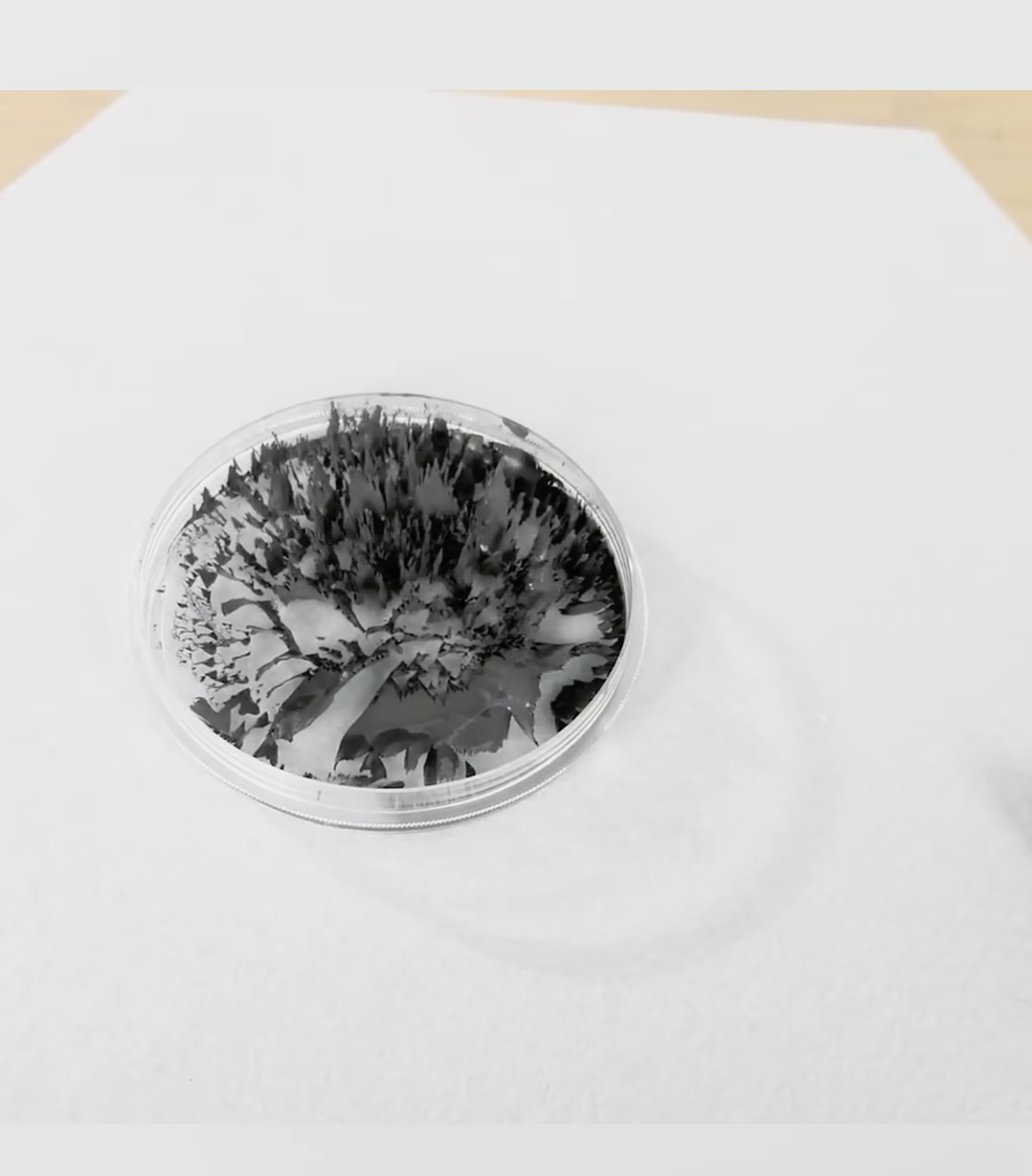 A liquid that freezes around magnets