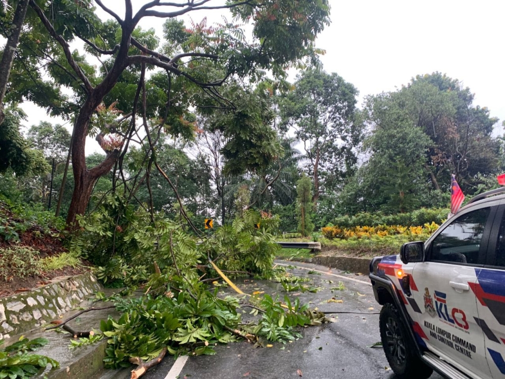 KL storm chaos: Roads blocked by fallen trees, homes damaged in Pantai ...
