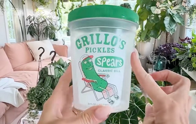 Plant lover shares clever hack using empty pickle jars: 'Love it'