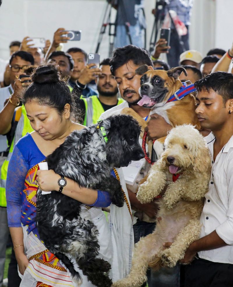 Zubeen Garg’s 4 dogs bid adieu to their master