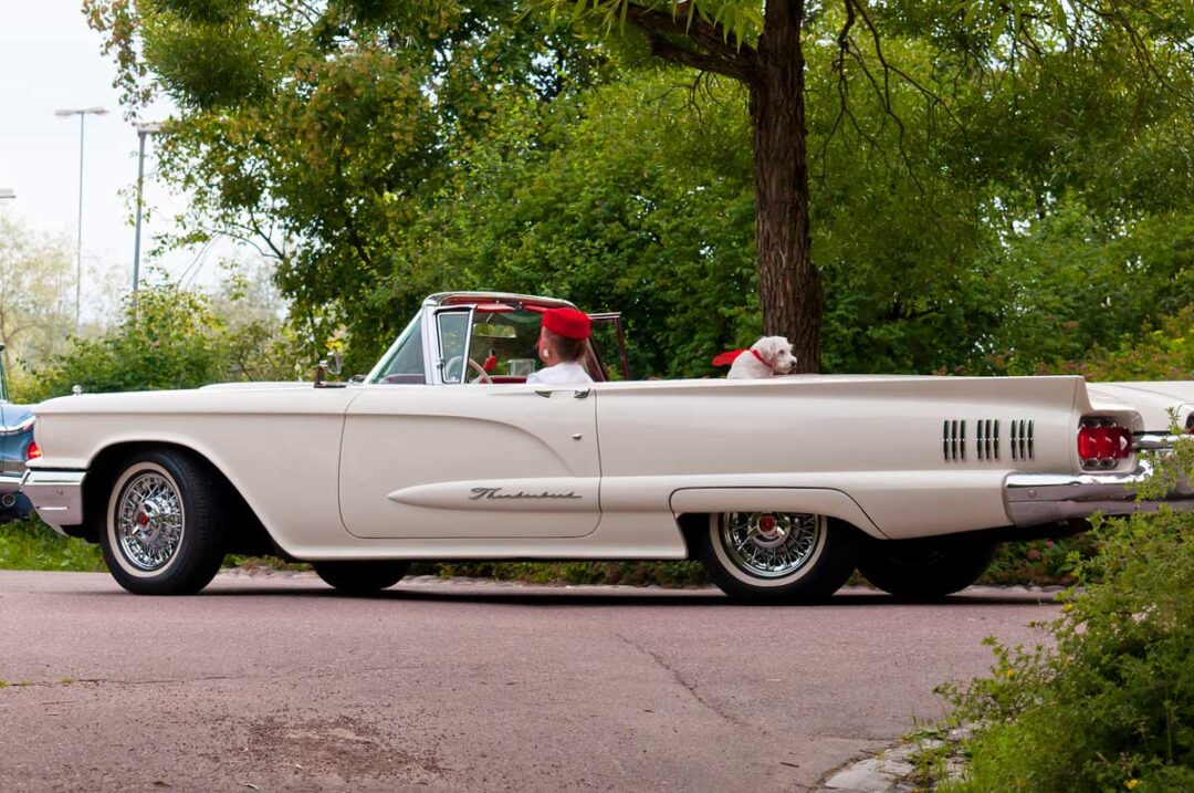 Fascinating Images Of 1960s Cars Photos