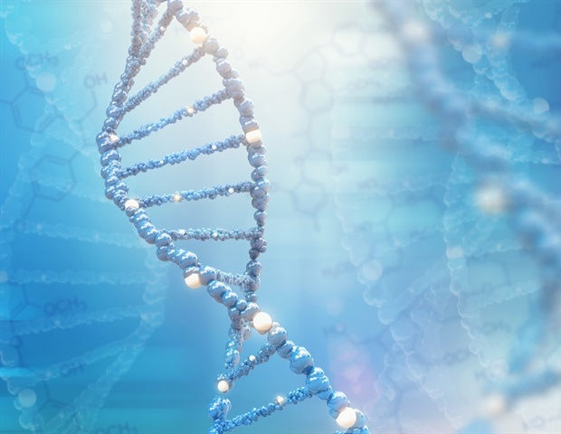 Coordinated gene regulation drives saponin production
