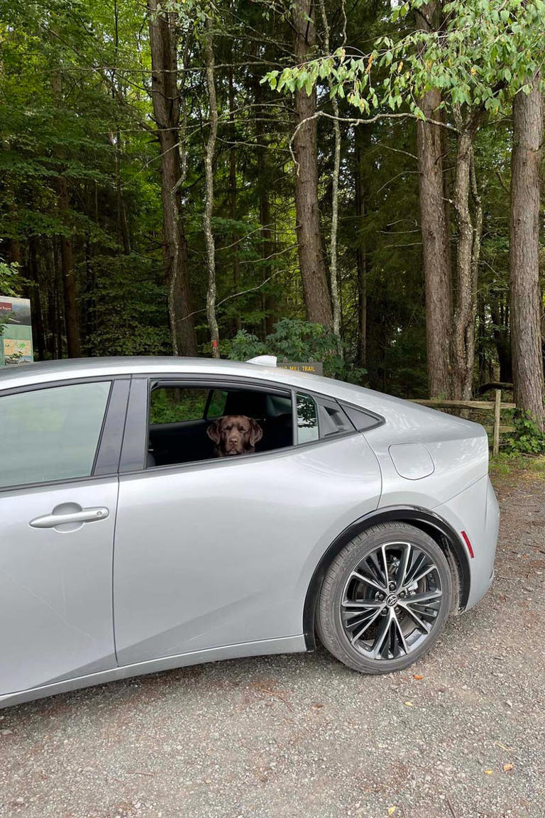 Our long-term 2025 Toyota Prius XLE goes for the low-key look